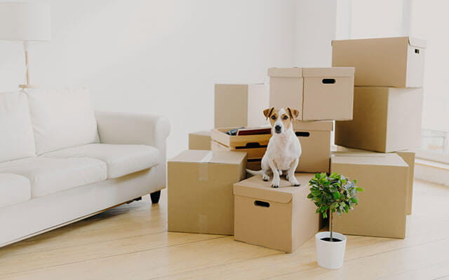 Best Moving Company for Small Moves | Zippy Shell