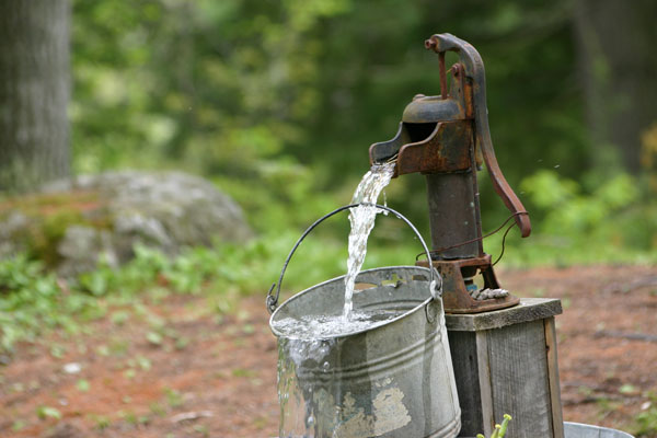 5 Simple Ways to Save Water in the Summer | Zippy Shell
