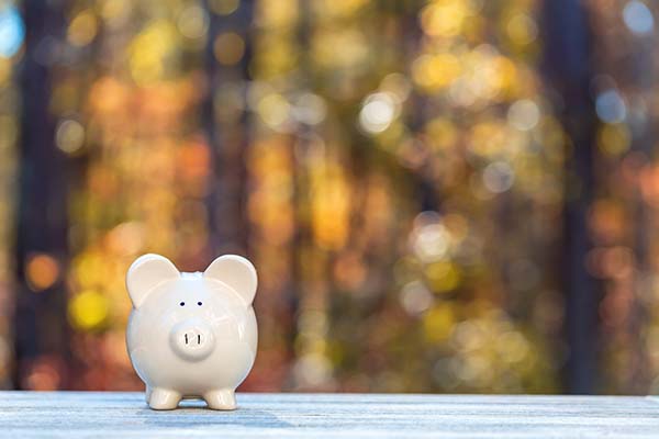 Save Money & Energy This Fall | Zippy Shell