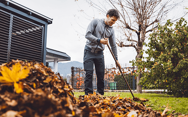 Fall Maintenance Tips for Your Home | Zippy Shell