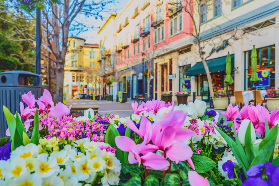 Portable Storage & Moving Services in San Jose | Zippy Shell