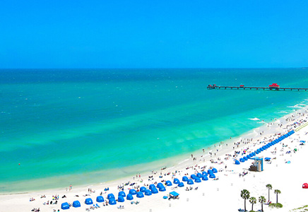 Portable Storage & Moving Services in Tampa | Zippy Shell